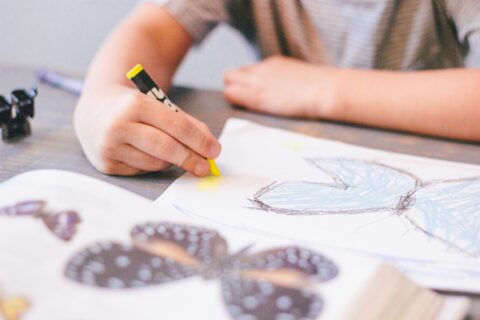 Catalyst Behavior: ABA Therapy & Autism Treatment Centers